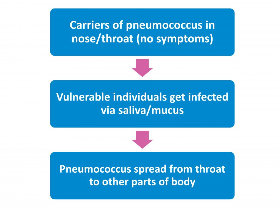 Pneumococcal Diseases & Your Body – Positive Parenting