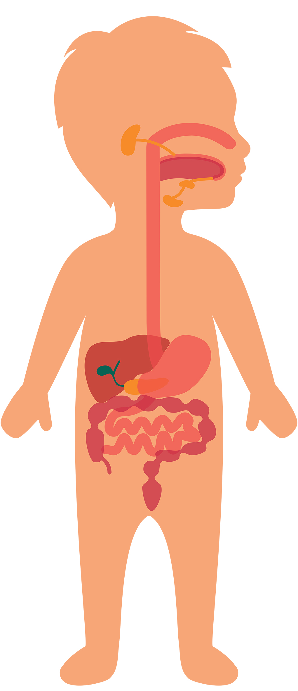 Inside your Child’s Gut – Positive Parenting