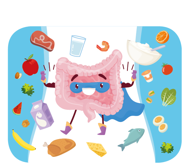 Why Good Digestion and Nutrient Absorption are Important for Kids ...